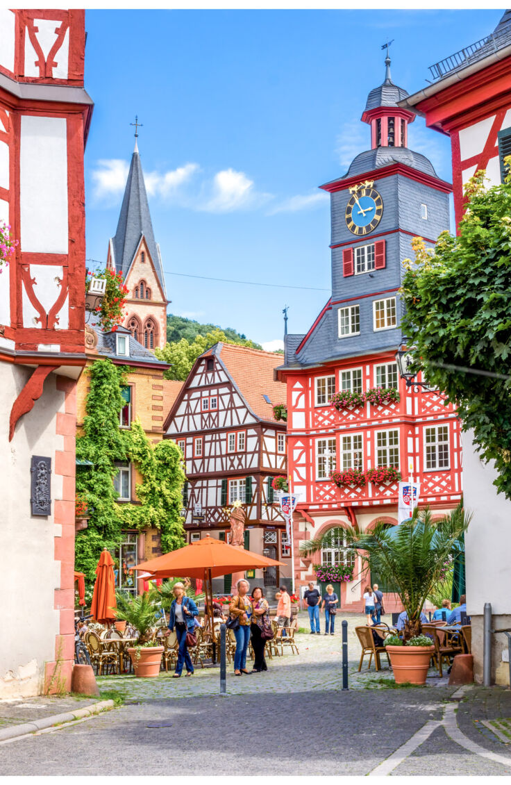 Embracing The Wonders Of Nature In Germany’s Odenwald Region