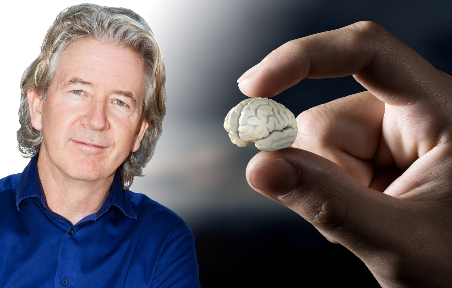 Why We Should Prioritise Alzheimer's Prevention By Patrick Holford