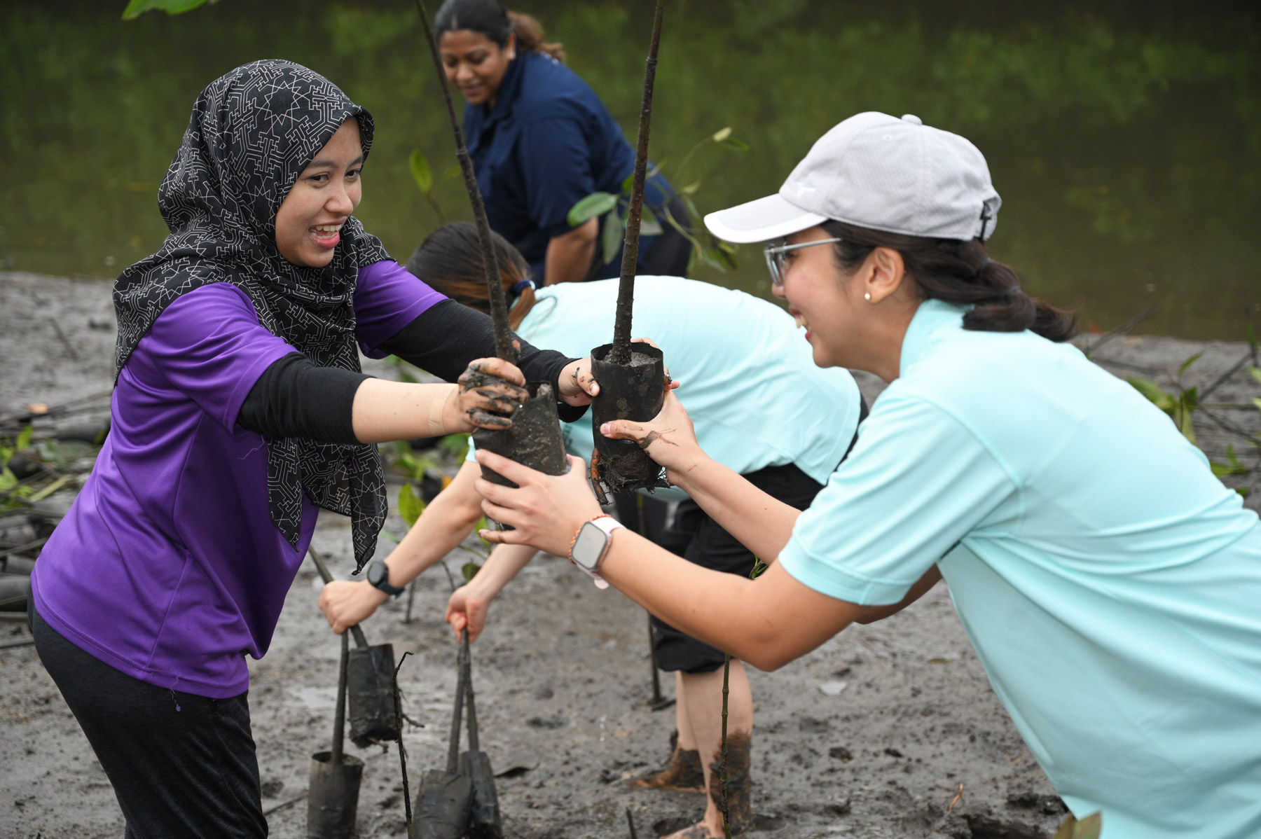 The Datai Pledge Celebrates World Mangrove Day With Community Initiative