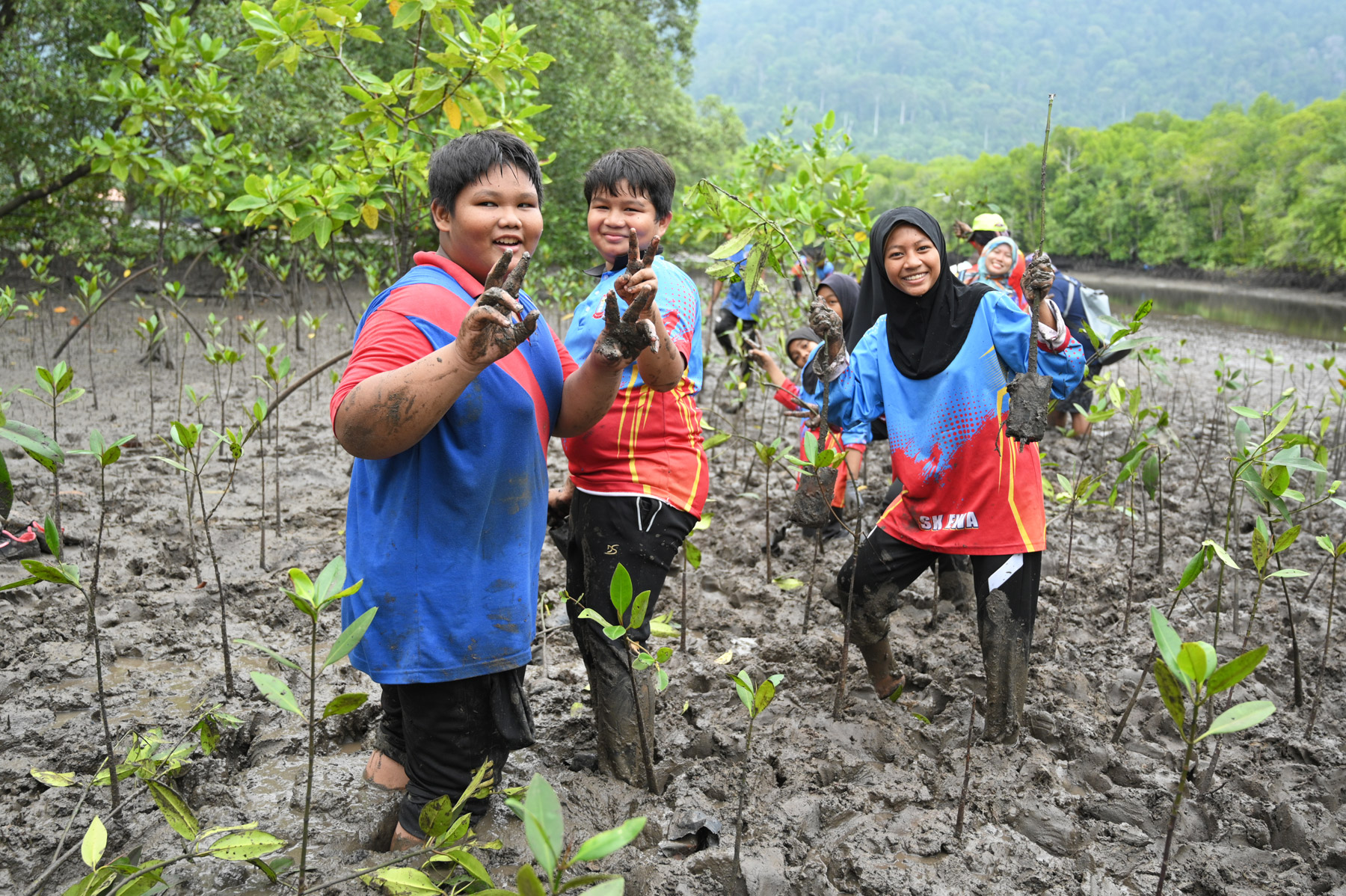 The Datai Pledge Celebrates World Mangrove Day With Community Initiative
