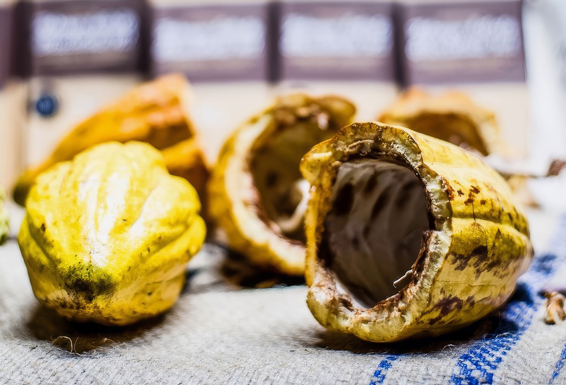 Chocolate Unwrapped, An Extraordinary Bean To Bar Experience In London