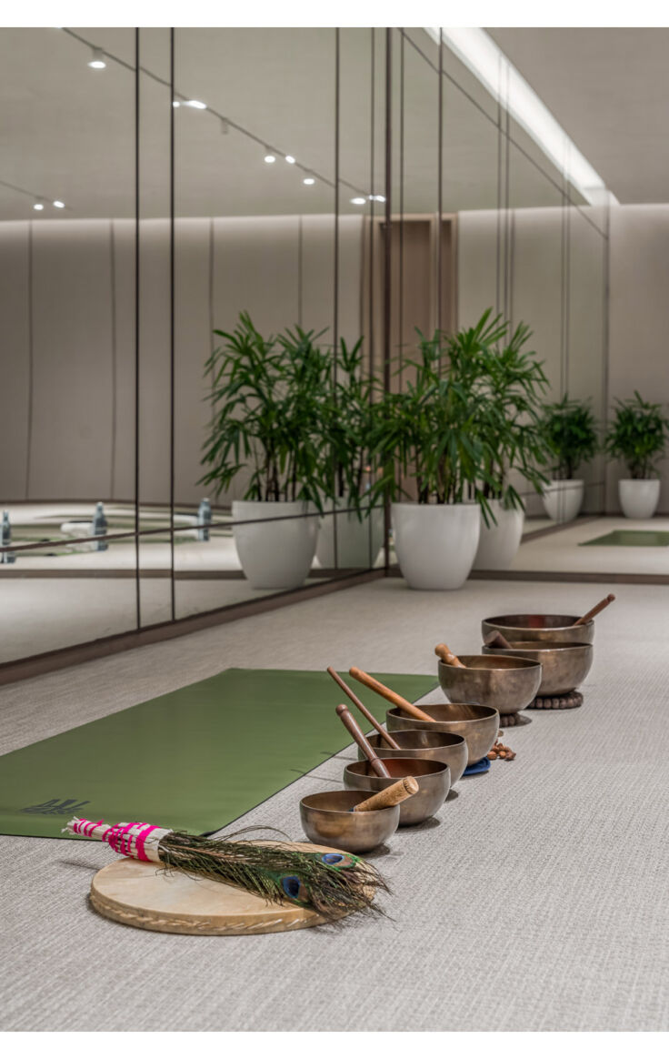 BLINK Creates Immersive Well-being Oasis At Banyan Tree Dubai