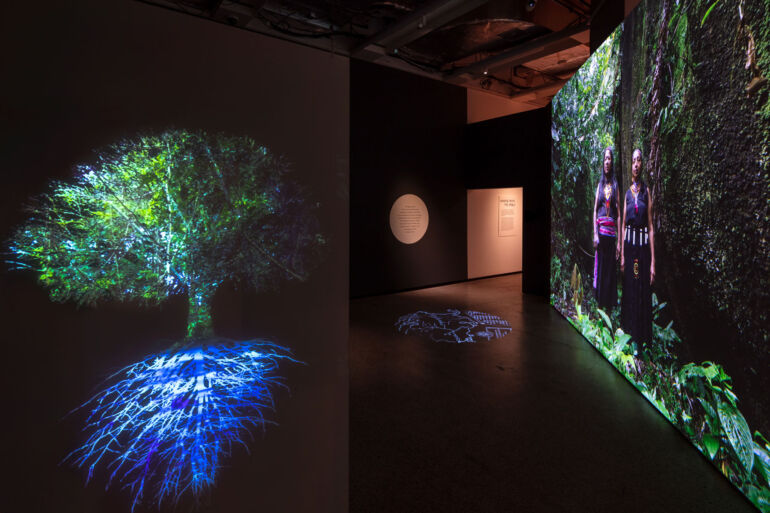 An Insight Into The Design Museum's More Than Human Design Exhibition