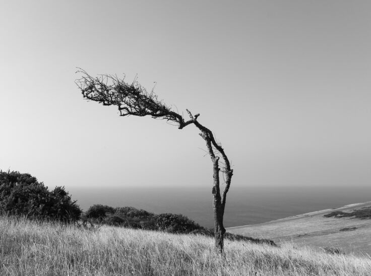 The ING Discerning Eye 2025: Where Art Merit Meets Inclusivity And ...